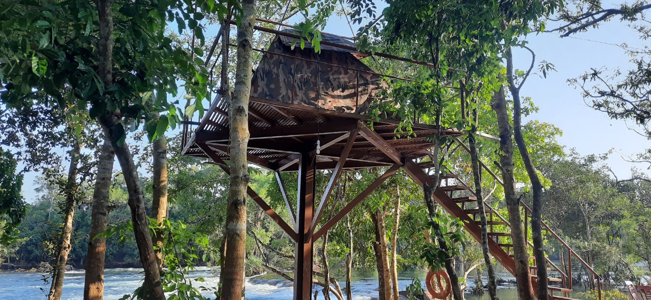 Best Tree House Fun Experience with family & kids